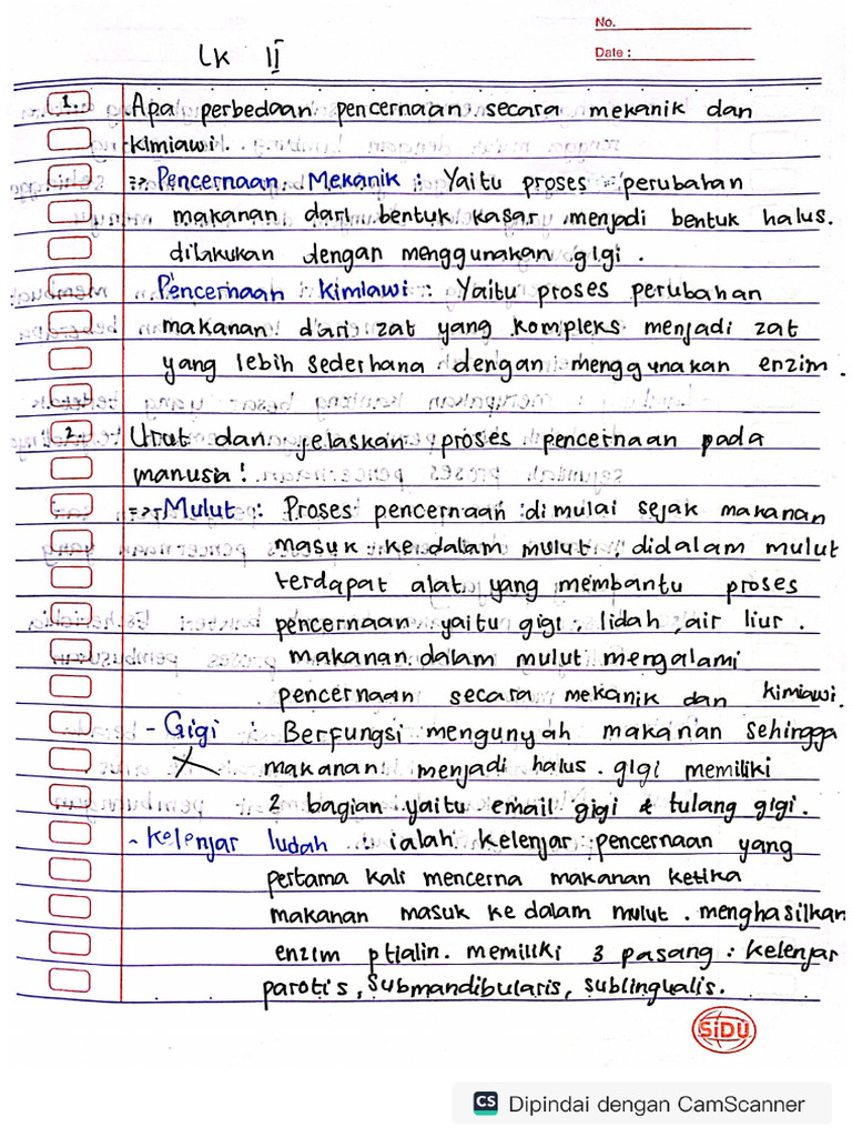 Tugas Mefendy Bilogi LK 2 | PDF