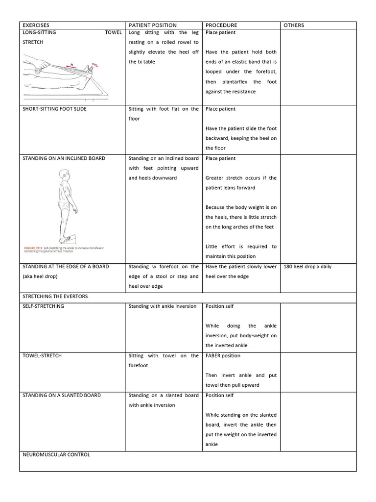 Ankle and Foot Exercises | PDF | Foot | Anatomical Terms Of Motion
