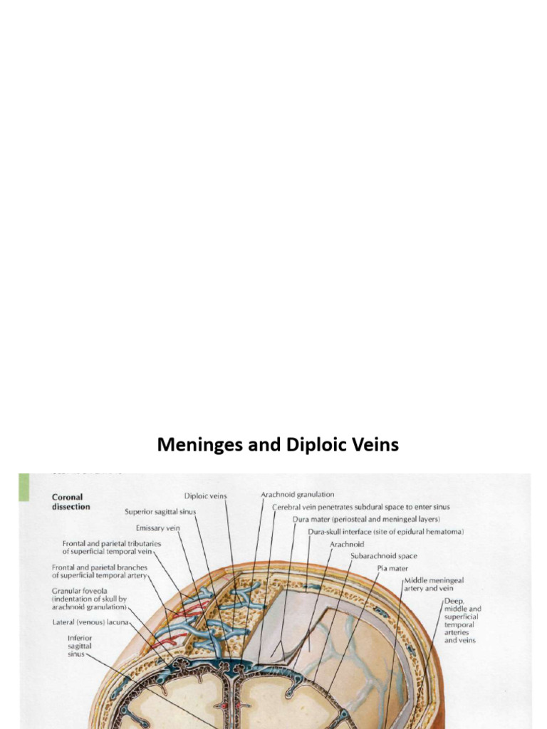 Neuroimaging Techniques and Strategies | PDF | Medical Imaging | Stroke