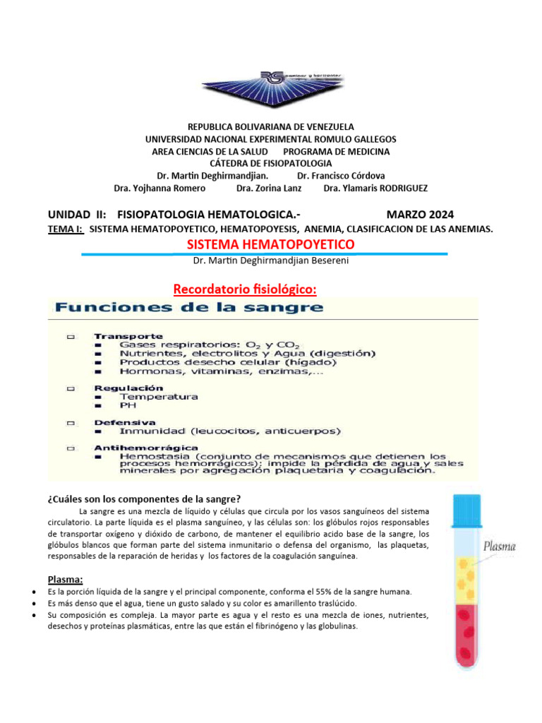Anemia Leve: Clasificación y Resultados | PDF | Sangre | Glóbulo rojo