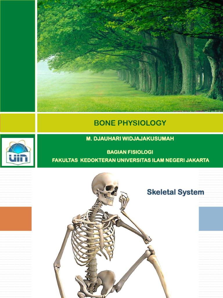 Understanding Bone Physiology and Functions | PDF | Bone | Osteoblast