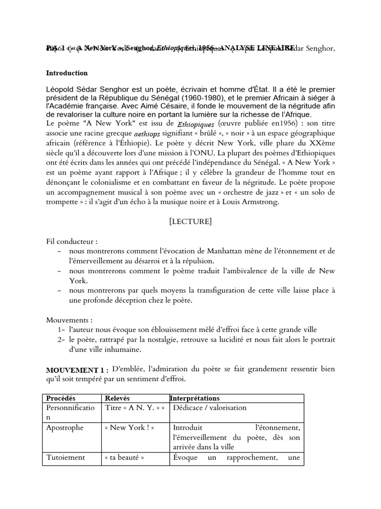 Beauté et désillusion à New York | PDF | Jeunes adultes