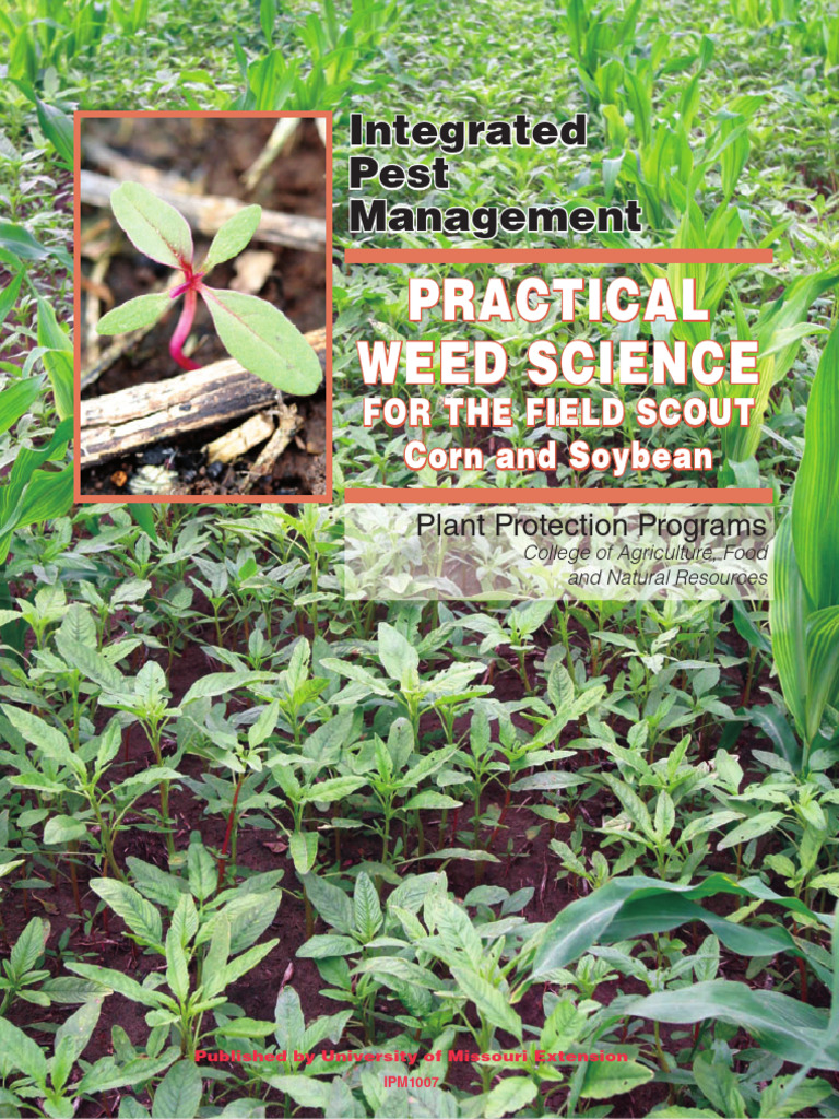 Corn & Soybean Weed Management Guide | PDF | Herbicide | Weed