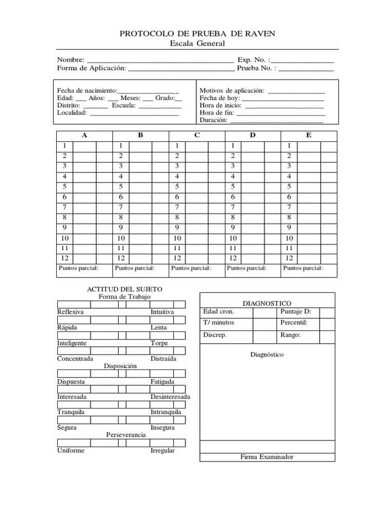 RAVEN ESCALA GENERAL (Hoja de Respuesta) | PDF