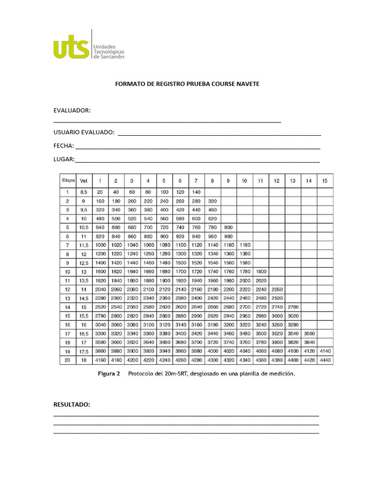 Formato Registro Prueba Navete | PDF