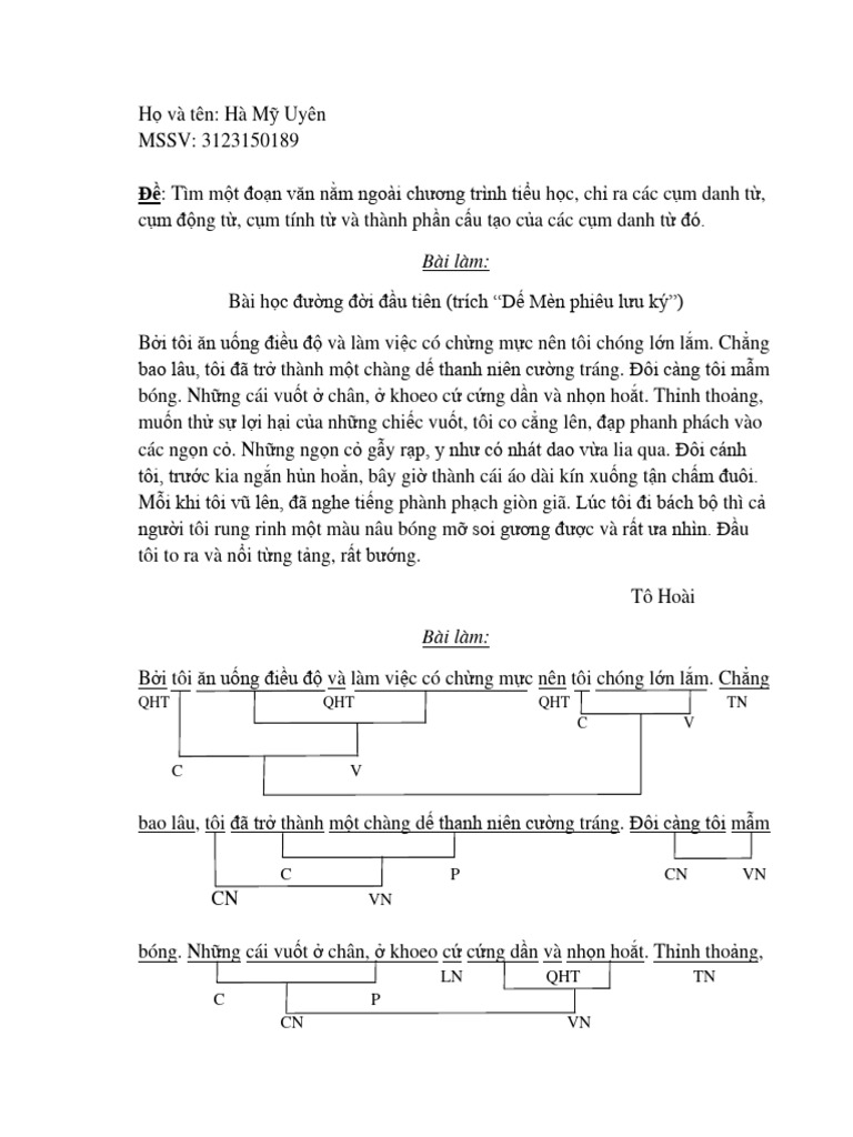 Phân Lo I Chính PH | PDF