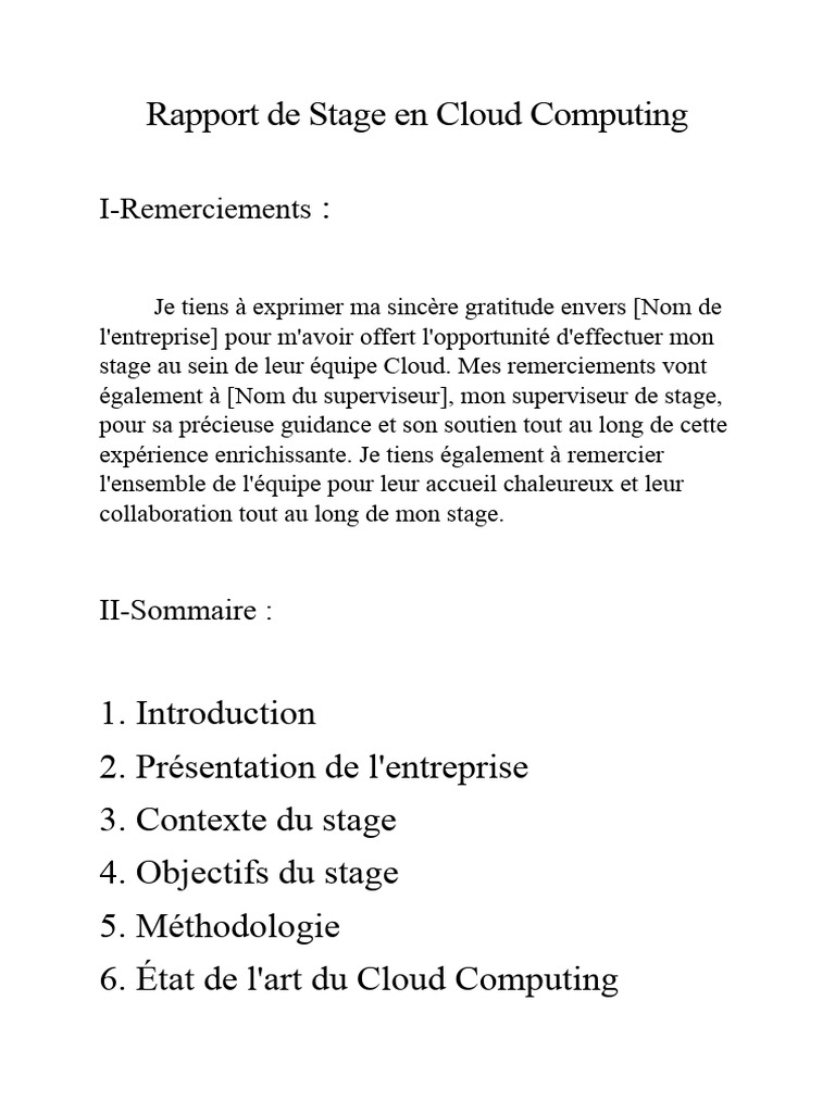 Rapport de Stage Afro | PDF | Cloud computing | Business