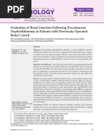 PCNL CPT Code and Claim Guidelines | PDF | Medicine | Social Programs