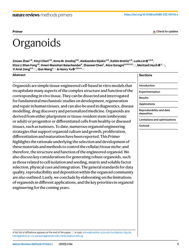 Organoid Engineering: Methods and Insights | PDF | Extracellular Matrix ...