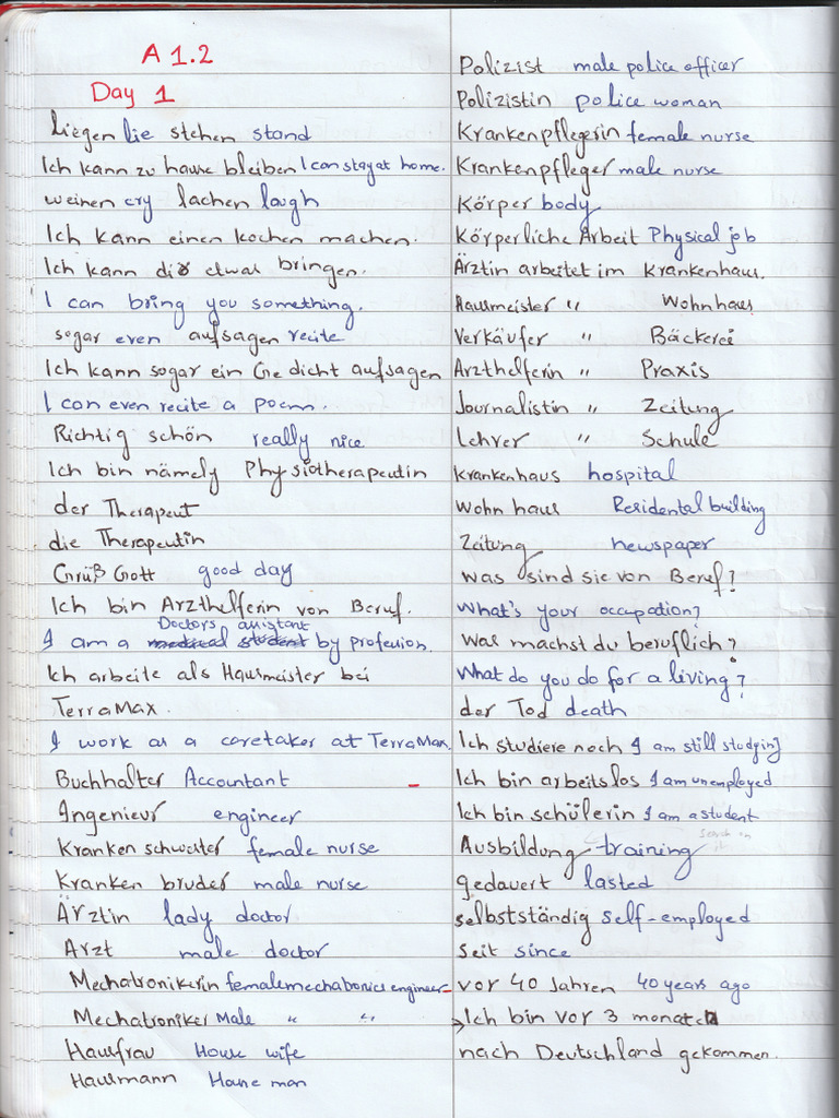 A1.1 Notes German | PDF