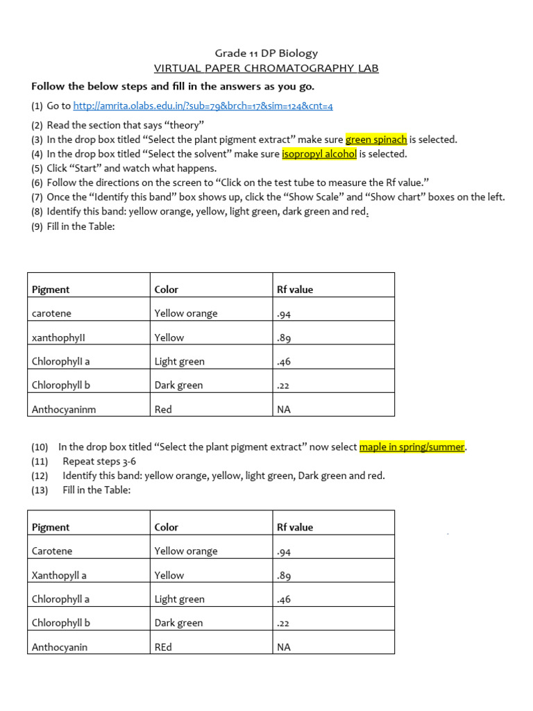 Plant Pigment and Chromatography | PDF | Home & Garden | Wellness