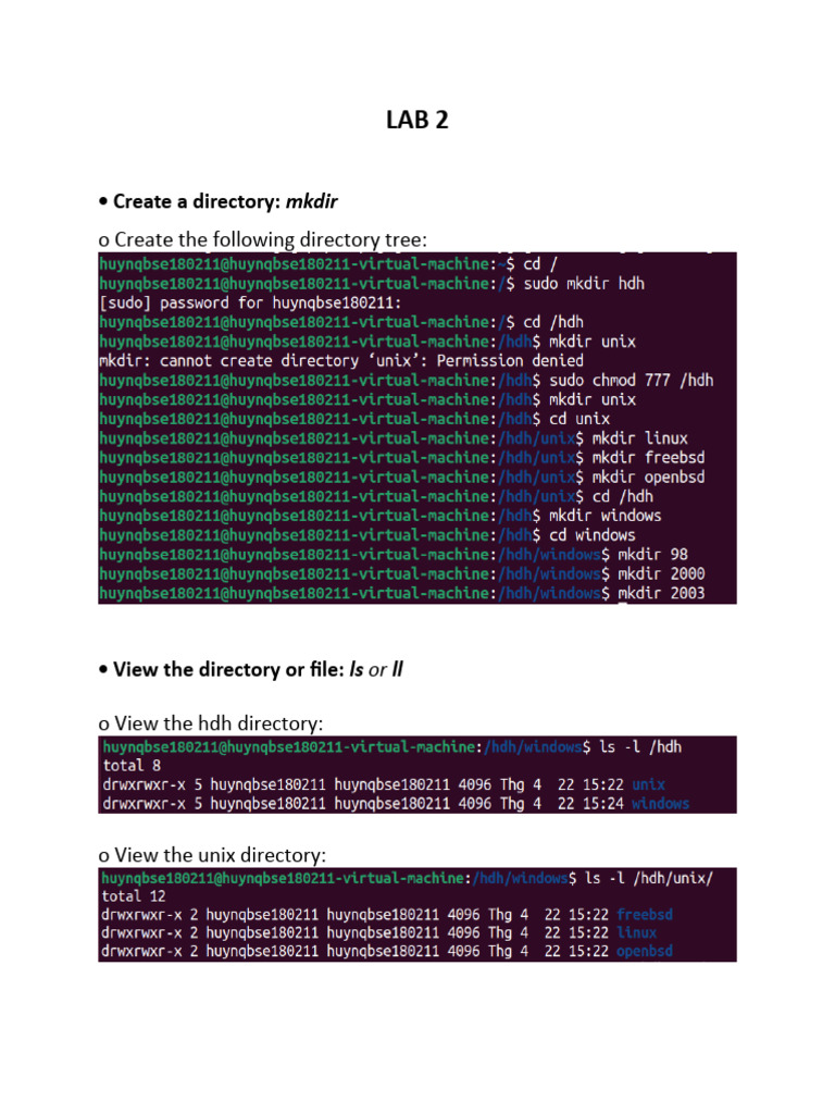 Nguyen Quoc Bao Huy | PDF | Zip (File Format) | Directory (Computing)