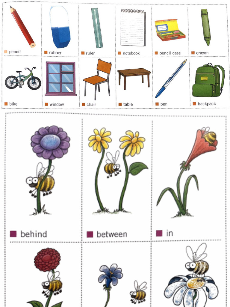 Pictures Vocabulary | PDF