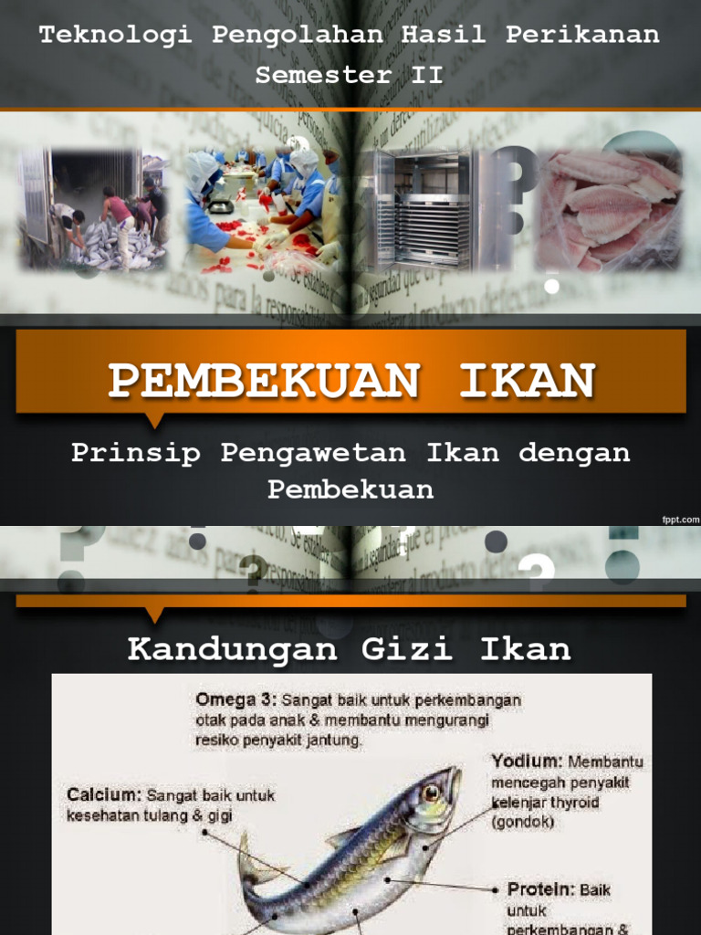 Pembekuan Ikan untuk Pelajar | PDF