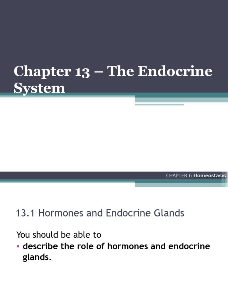 Chapter 13 - Endocrine System | PDF | Endocrine System | Hormone