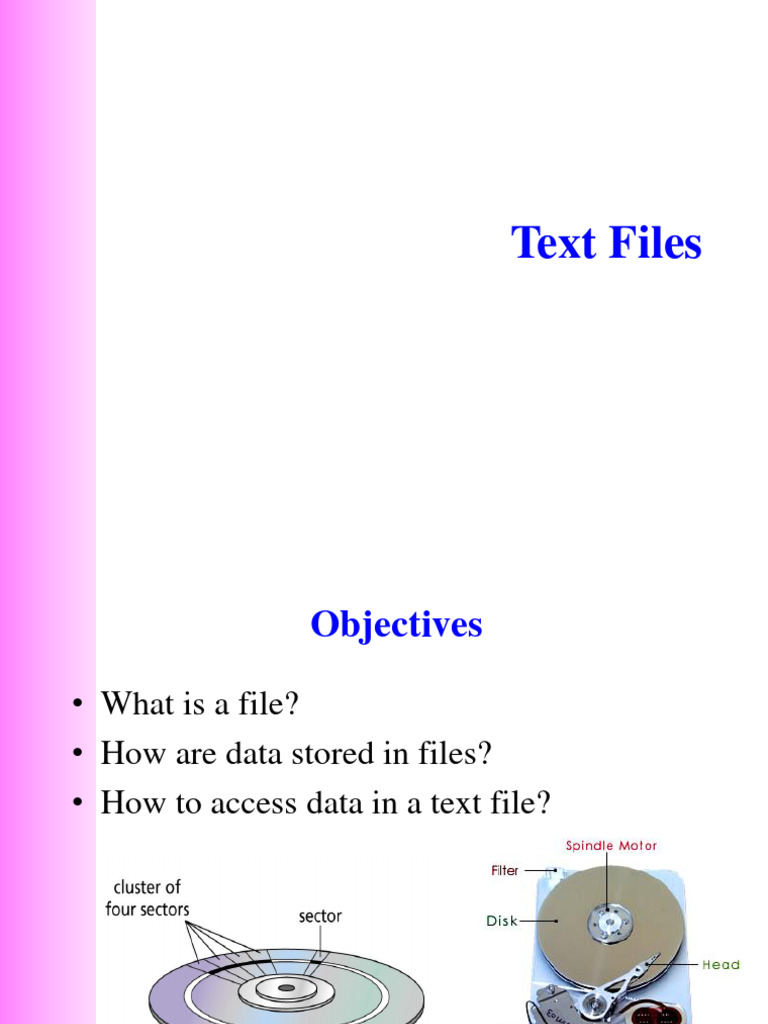 5 Text-Files | PDF | Computer File | Text File