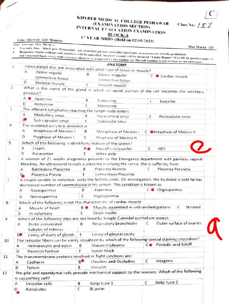 KMC Block A 2023 | PDF | Epithelium | Action Potential