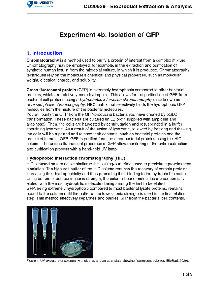 GFP Purification for Lab Students | PDF | Protein Purification ...