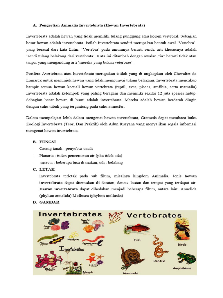 Pengertian Animalia Invertebrata | PDF