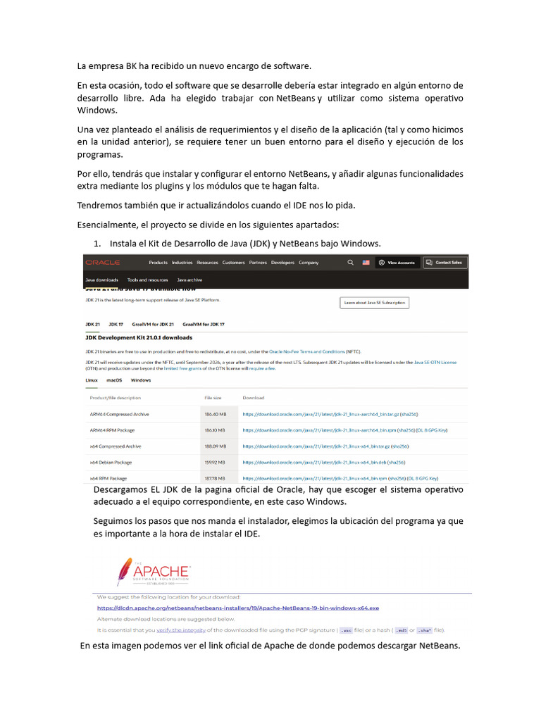 Configuración de NetBeans en Windows | PDF | Frijoles Netos | Aplicaciones y software
