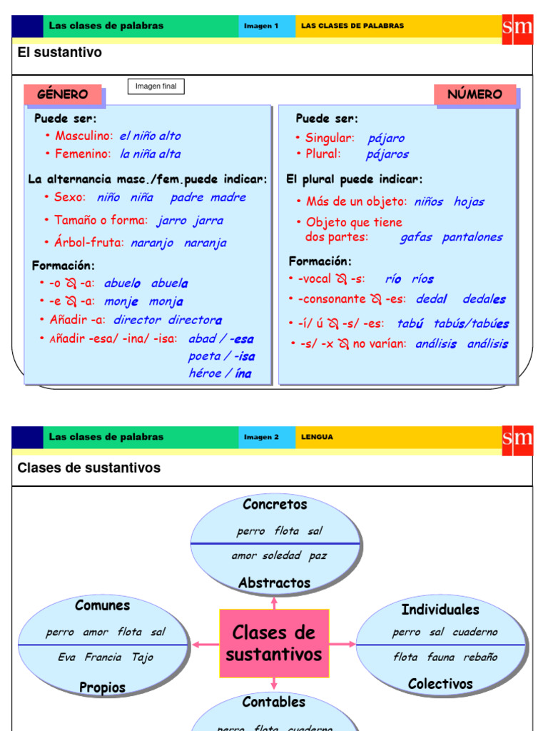 9 Las Clases de Palabras | PDF | Verbo | Sustantivo