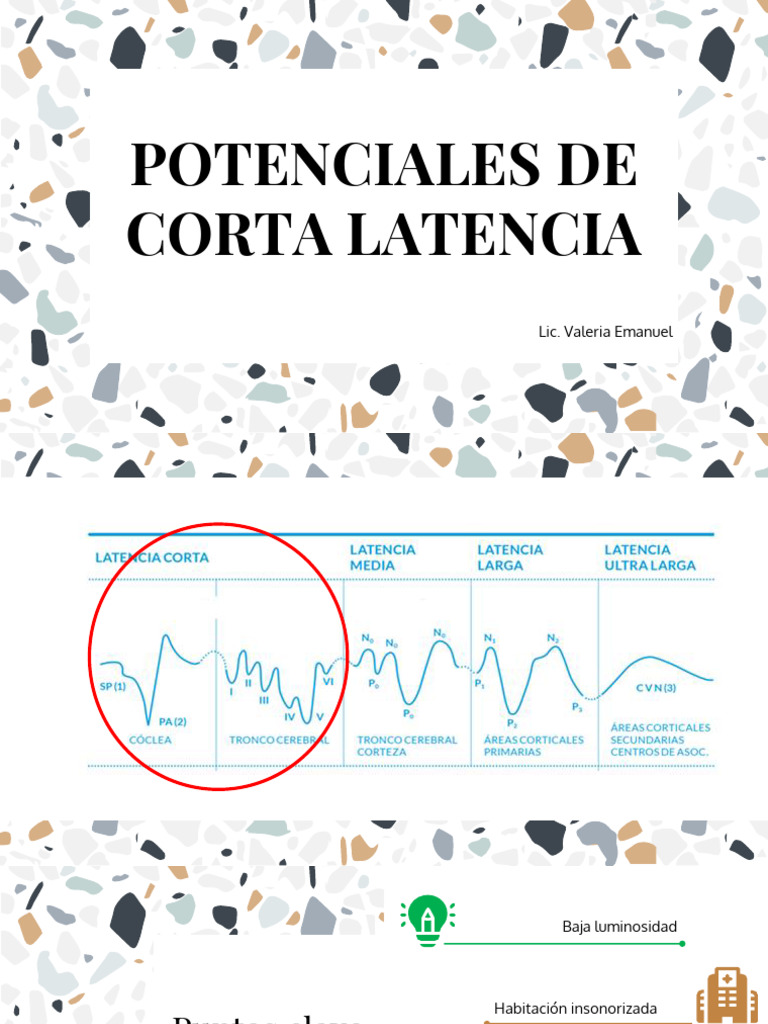 Guía sobre Potenciales Evocados Auditivos | PDF | Infantes | ruido