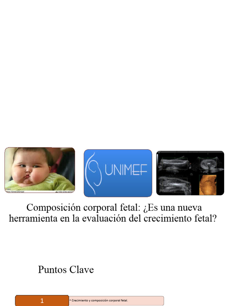 Composicion Corporal Fetal | PDF | Feto | Tejido adiposo