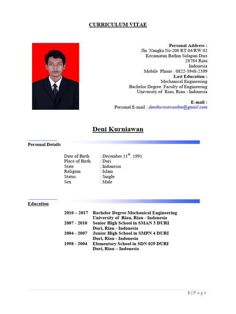Cv Deni Kurniawan Update Pdf