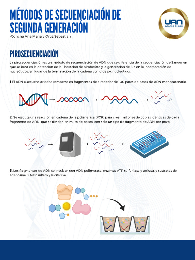 Métodos de Secuenciación de Segunda Generación | PDF | Secuencia ADN ...