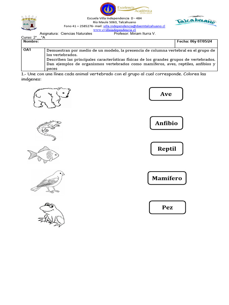 Guia 9 Ciencias | PDF | Reptil | Vertebrados
