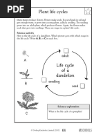 Plant Life Cycle Lesson Plan | PDF | Germination | Seed