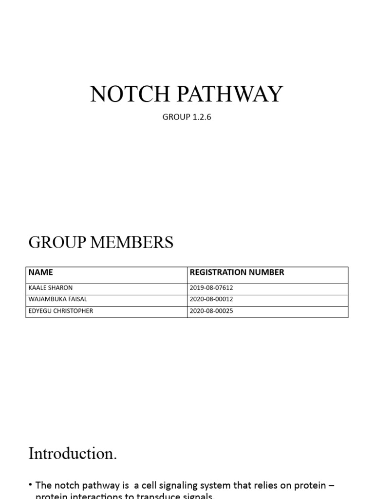 1.2.6 NOTCH Signaling Pathway. Corrected | PDF | Cell Signaling | Ubiquitin