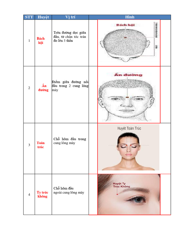 40 HUYỆT LS YHCT 1 | PDF