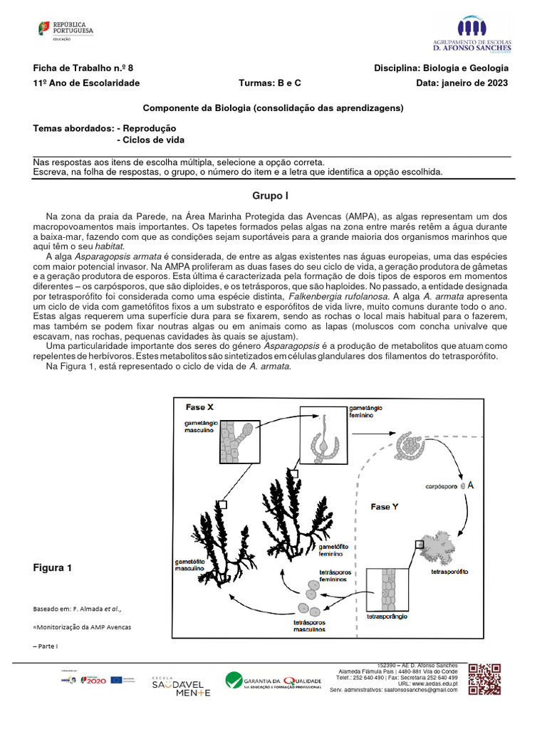 Ficha 8 - Ciclos de Vida | PDF | Reprodução | Célula (Biologia)