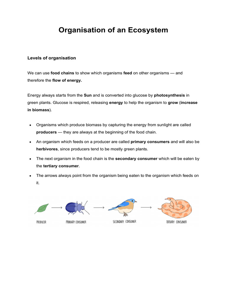 Ecosystem Organization & Cycles | PDF | Decomposition | Predation
