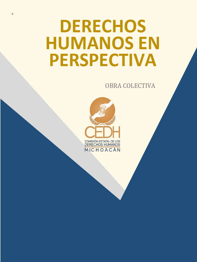 Derechos Humanos en Perspectiva | PDF