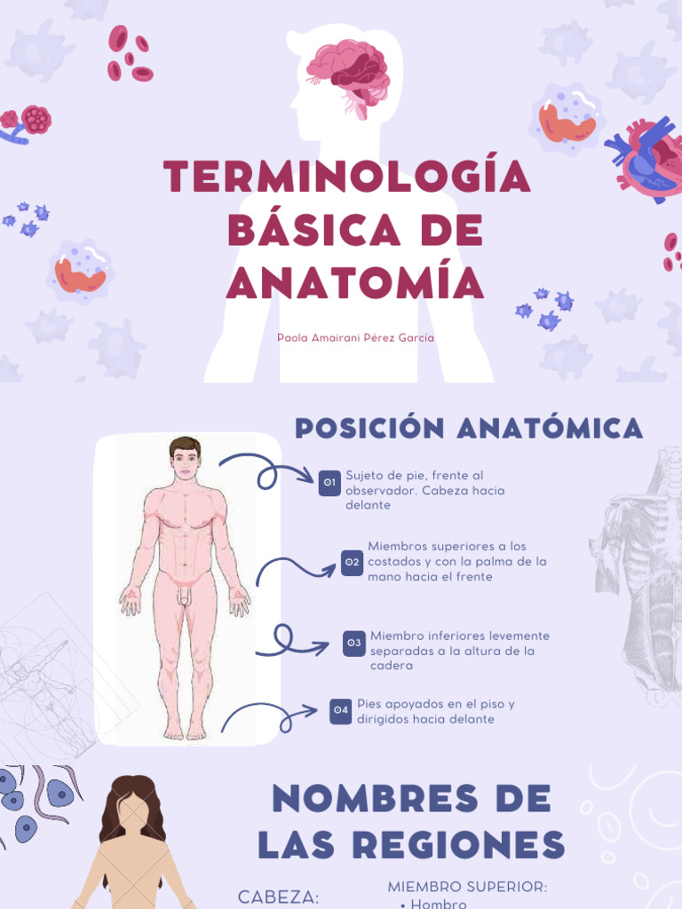 Generalidades de Anatomía | PDF | Términos anatómicos de ubicación ...