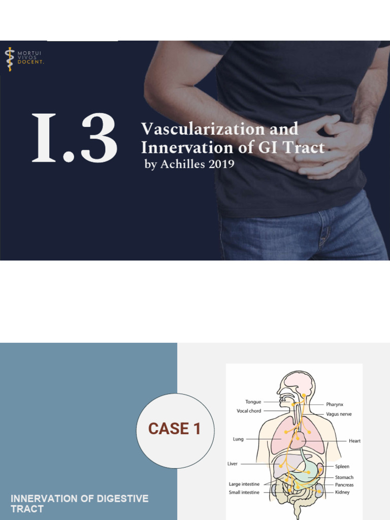 C2 Vascularisasi Dan Innervasi Dinding GEH | PDF
