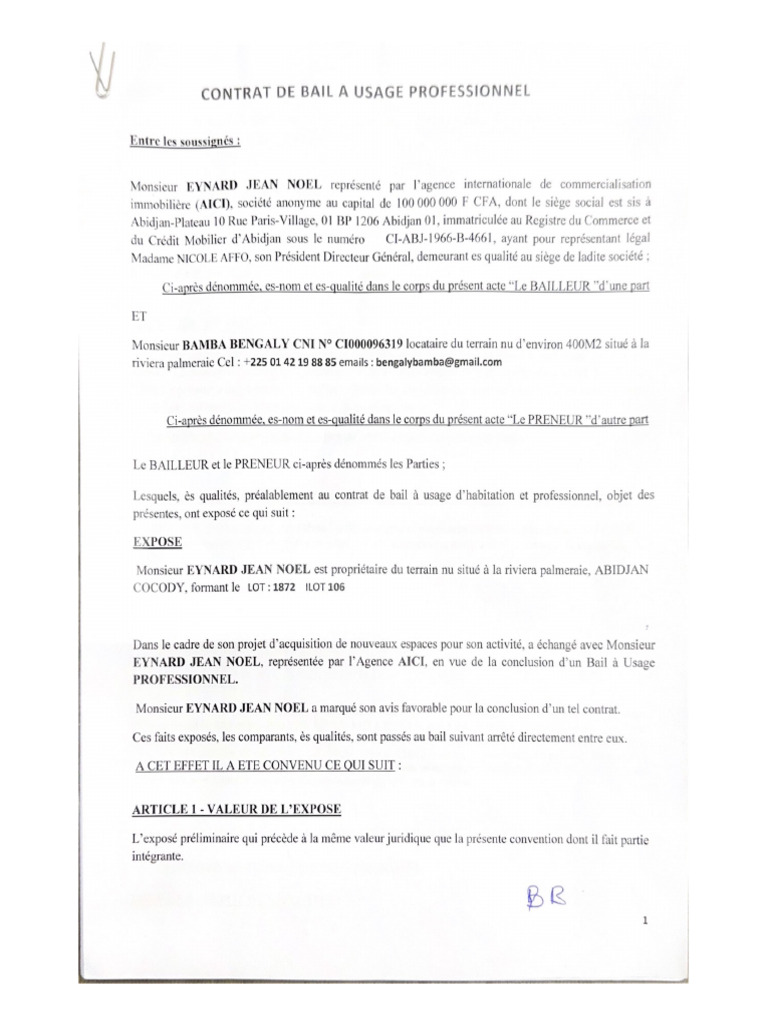 Contrat de Bail A Usage Professionnel | PDF