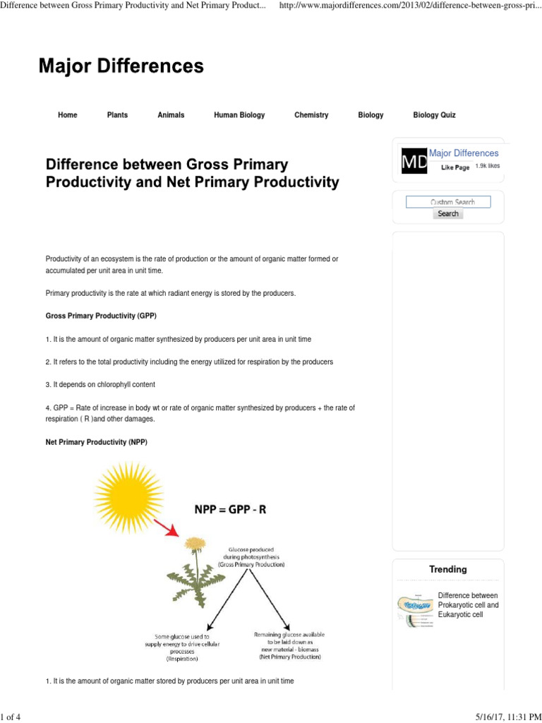 GPP vs NPP Explained | PDF | Primary Production | Ecology
