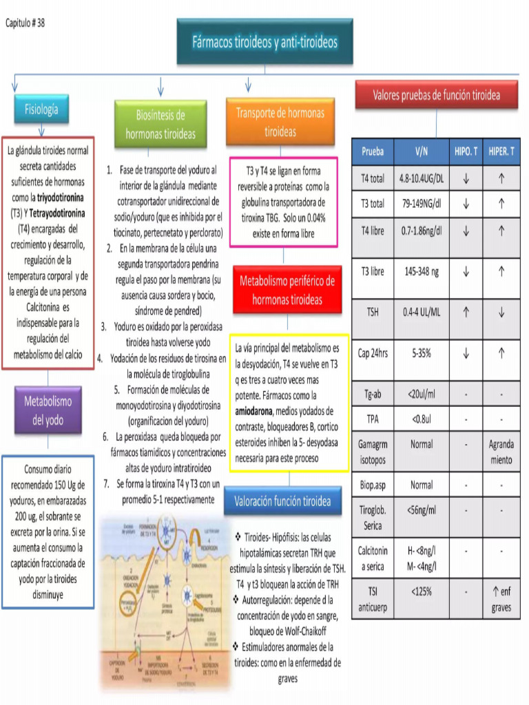 Resumen Tiroideo | PDF Resumen Tiroideo | PDF