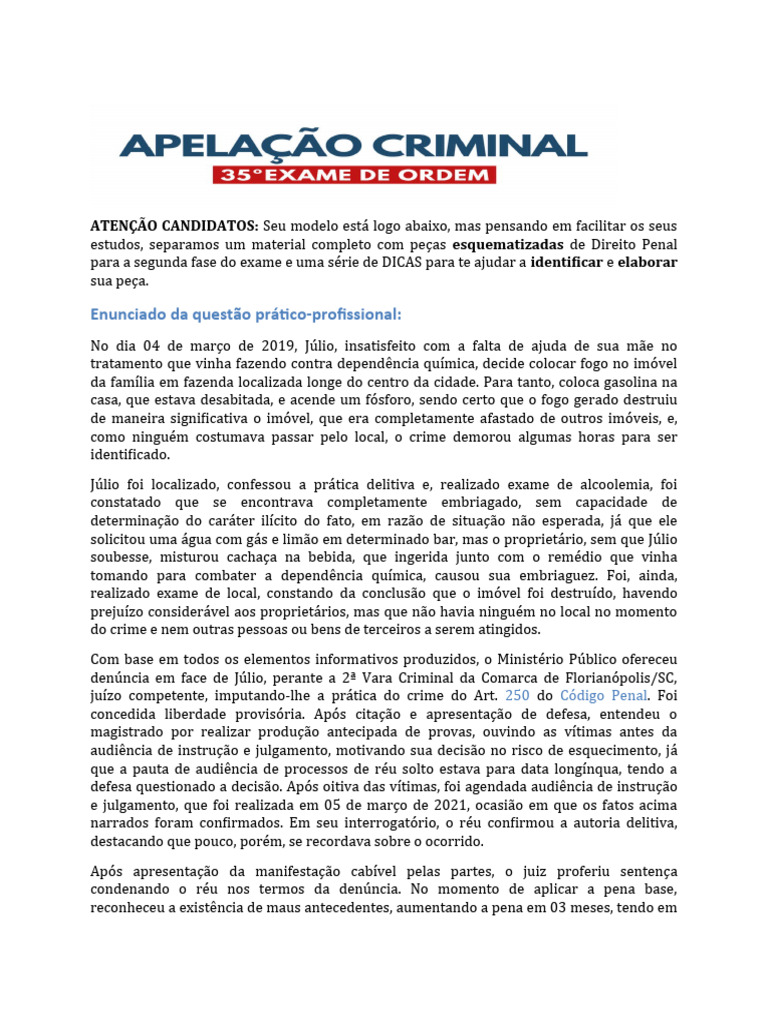Modelo de Apelacao Criminal 2 Fase Do Exame Da Oab de Direito Penal ...