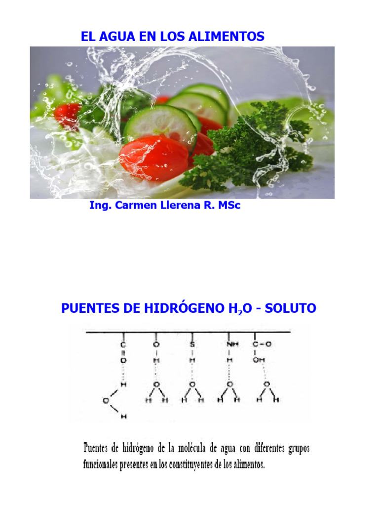 1. AGUA EN LOS ALIMENTOS | PDF | Agua | Propiedades del agua