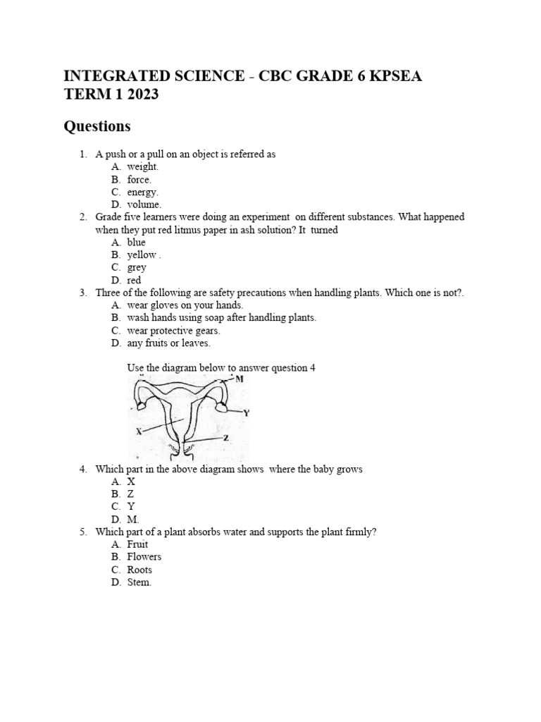 Integrated Science 1 | Download Free PDF | Soil | Foods