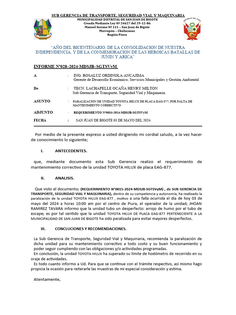 Informes Henry 2024 Actualizado | PDF