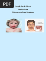 Anaphylaxis Emergency Kit Checklist | PDF