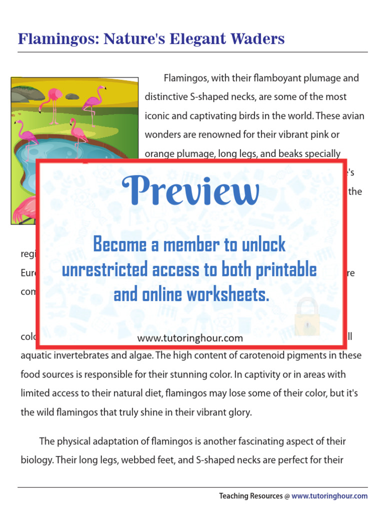 Flamingos WM | PDF | Birds | Ornithology