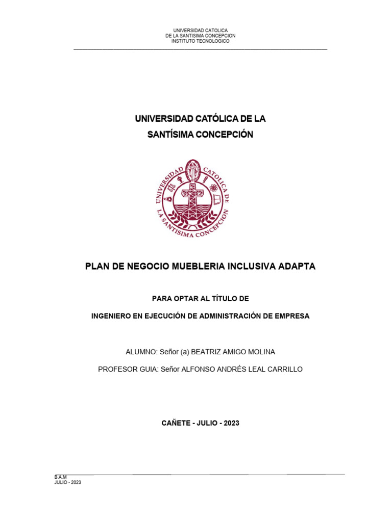 Informe Presentacion2 Beatriz Amigo | PDF | Sustentabilidad | Invalidez