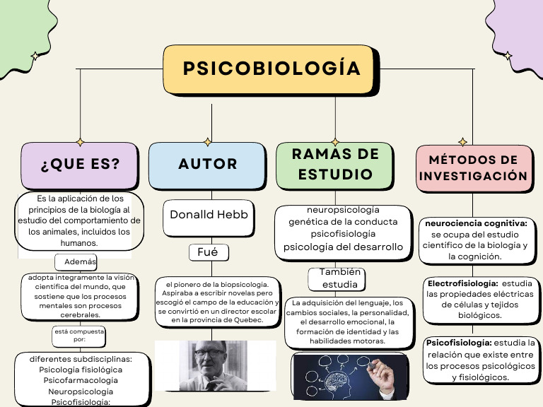 Mapa Conceptual-Psicobiologia | PDF | Neurociencia conductual | Sicología