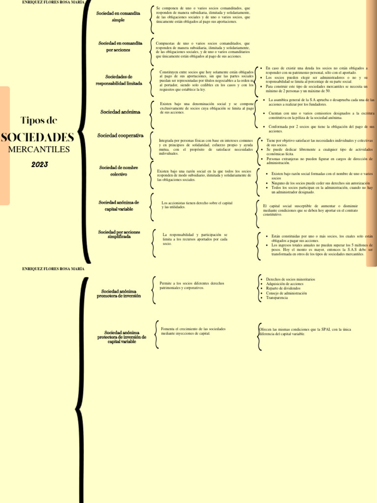 EnriquezR_Tipos de sociedades mercantiles | PDF | Negocios económicos | Economias